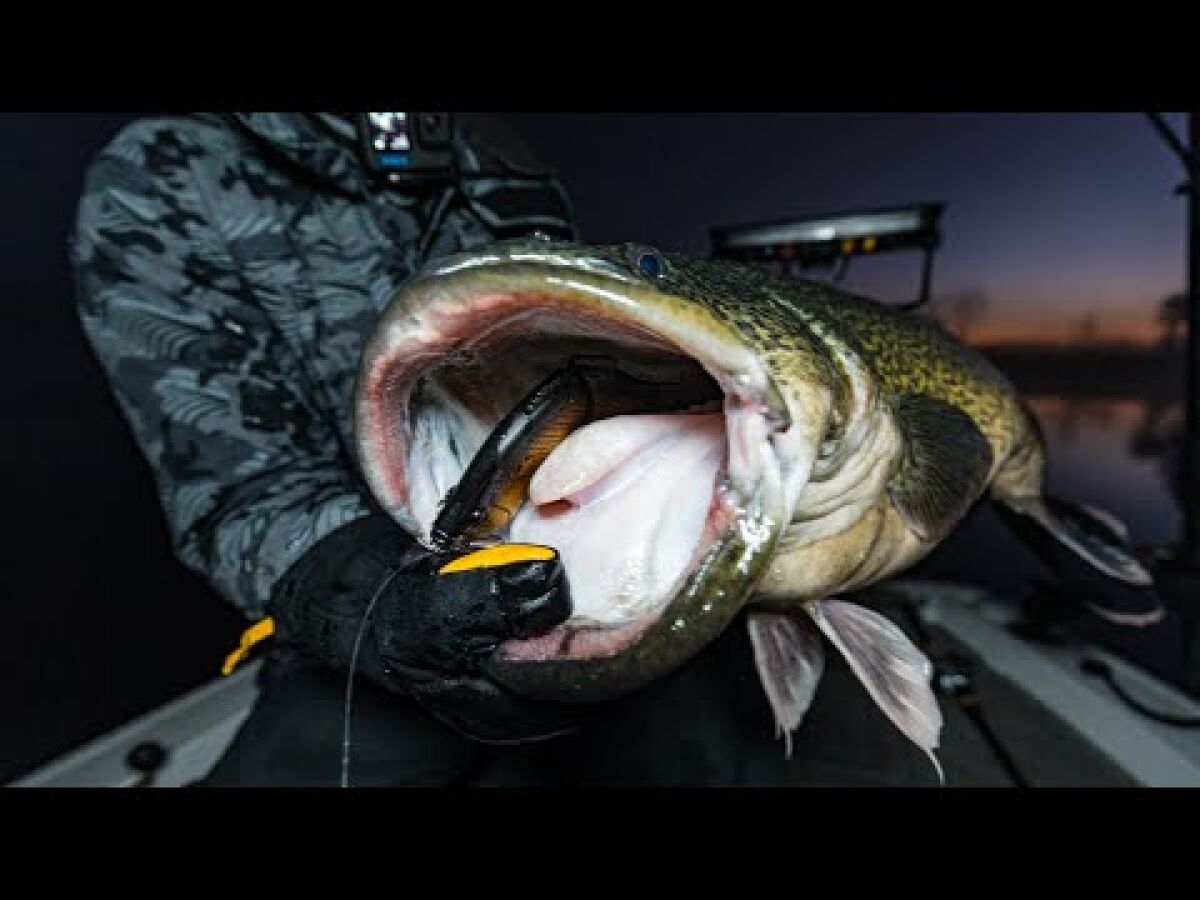 Dean Silvester is Creating inspirational fishing content. 🎣