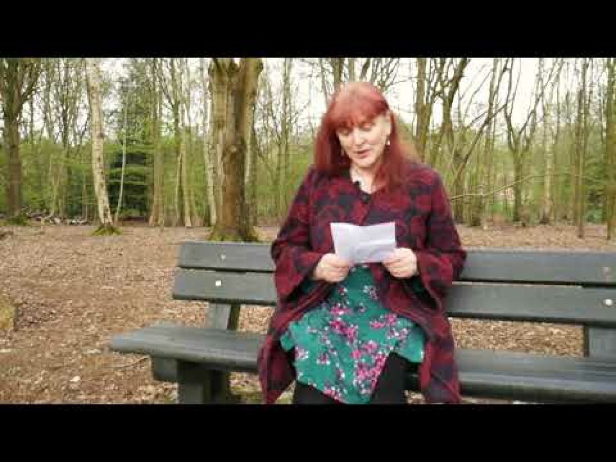 Julia Webb is Poet and Poetry tutor