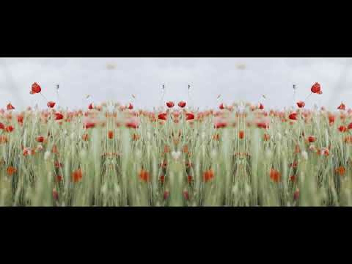 ocien is Electronic musician, Producer, Dj